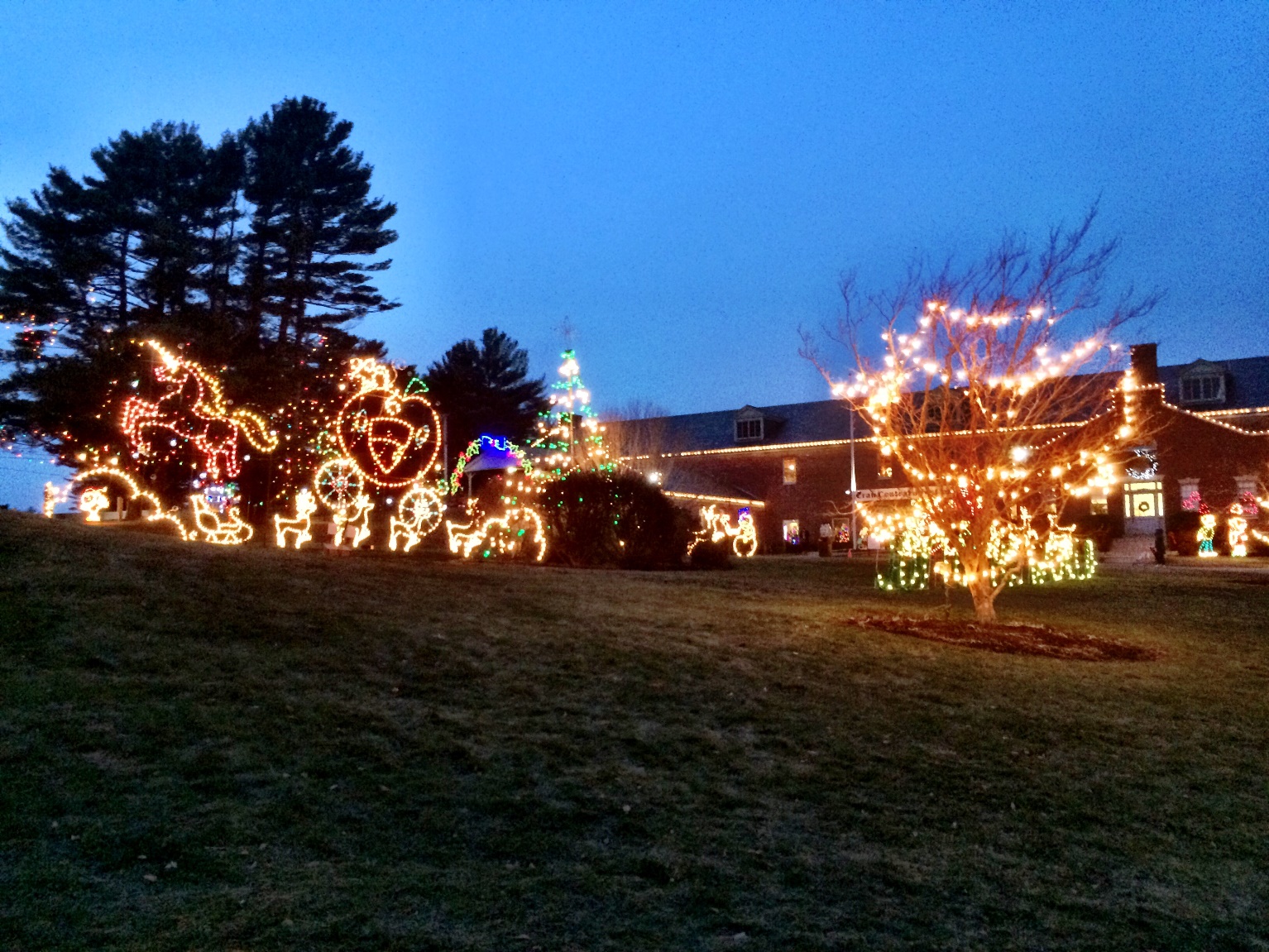 Evan and Lauren's Cool Blog: 12/12/16: Edaville USA Festival of Lights ...