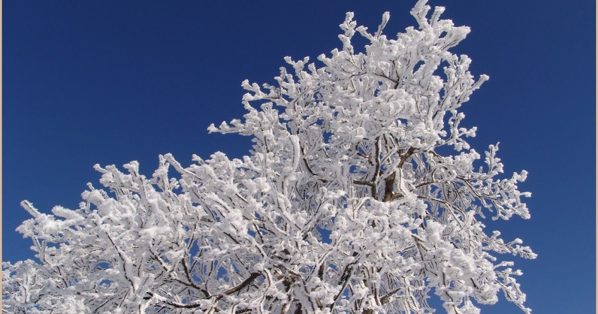 w malinach: PARAFRAZA NA TEMAT