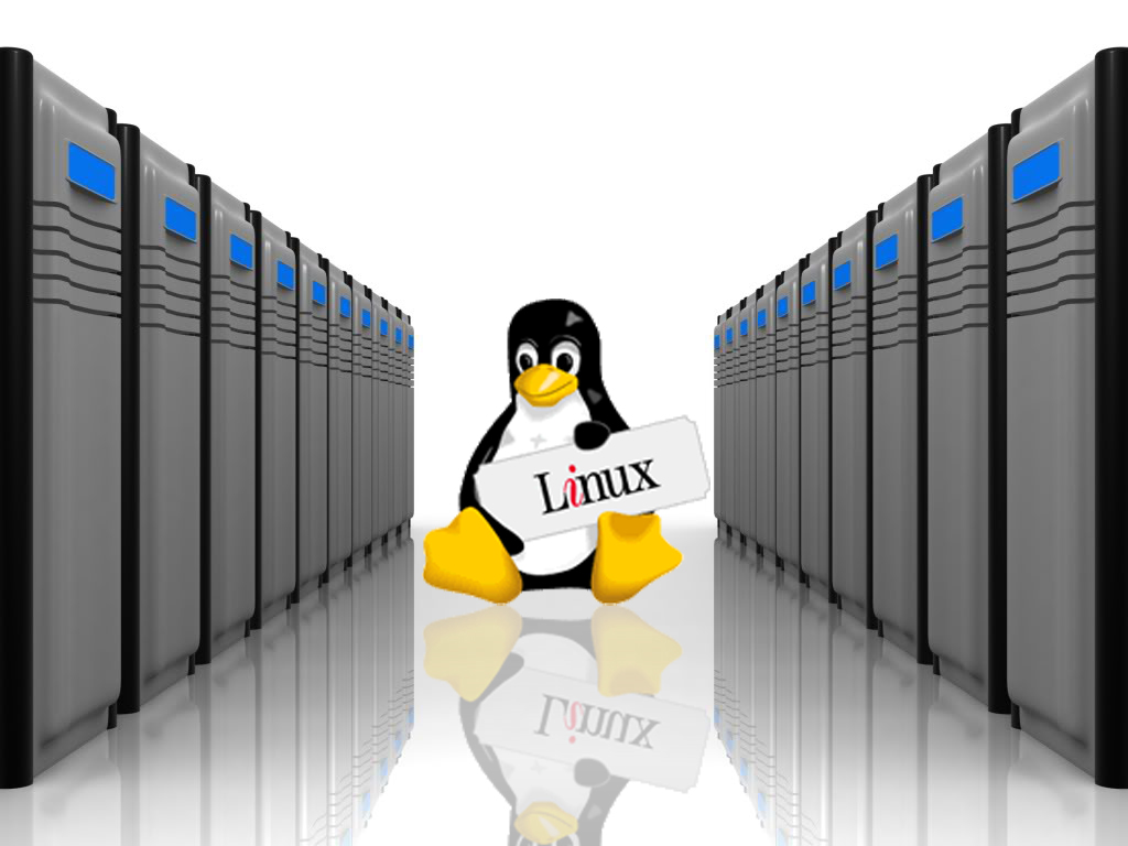 Linux Server Nachang The Community Linux Server Nachang The Community