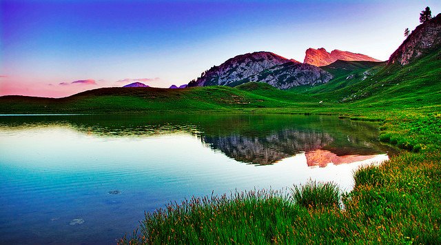 Share My Journey: Peaceful Serenity in Nature