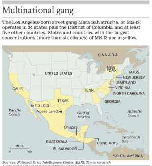 Kenneth Rijock's Financial Crime Blog: TCO DESIGNATION OF MS-13 ...