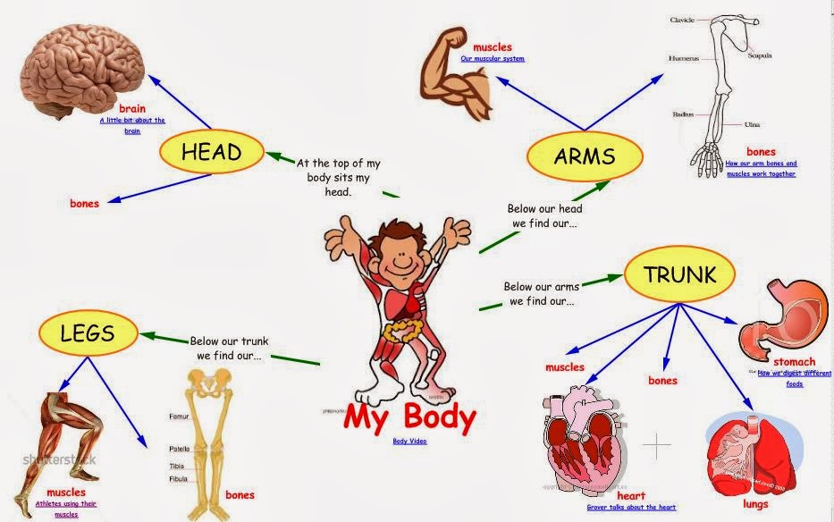 Learning with Miss Becca