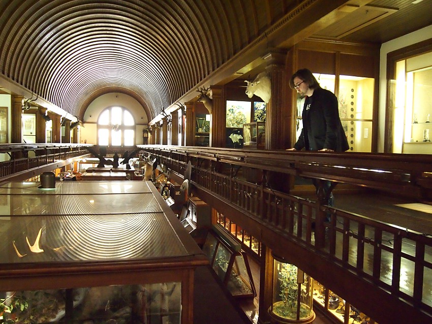 OTIS (Odd Things I've Seen): Dead and Exotic Things: The Fairbanks ...