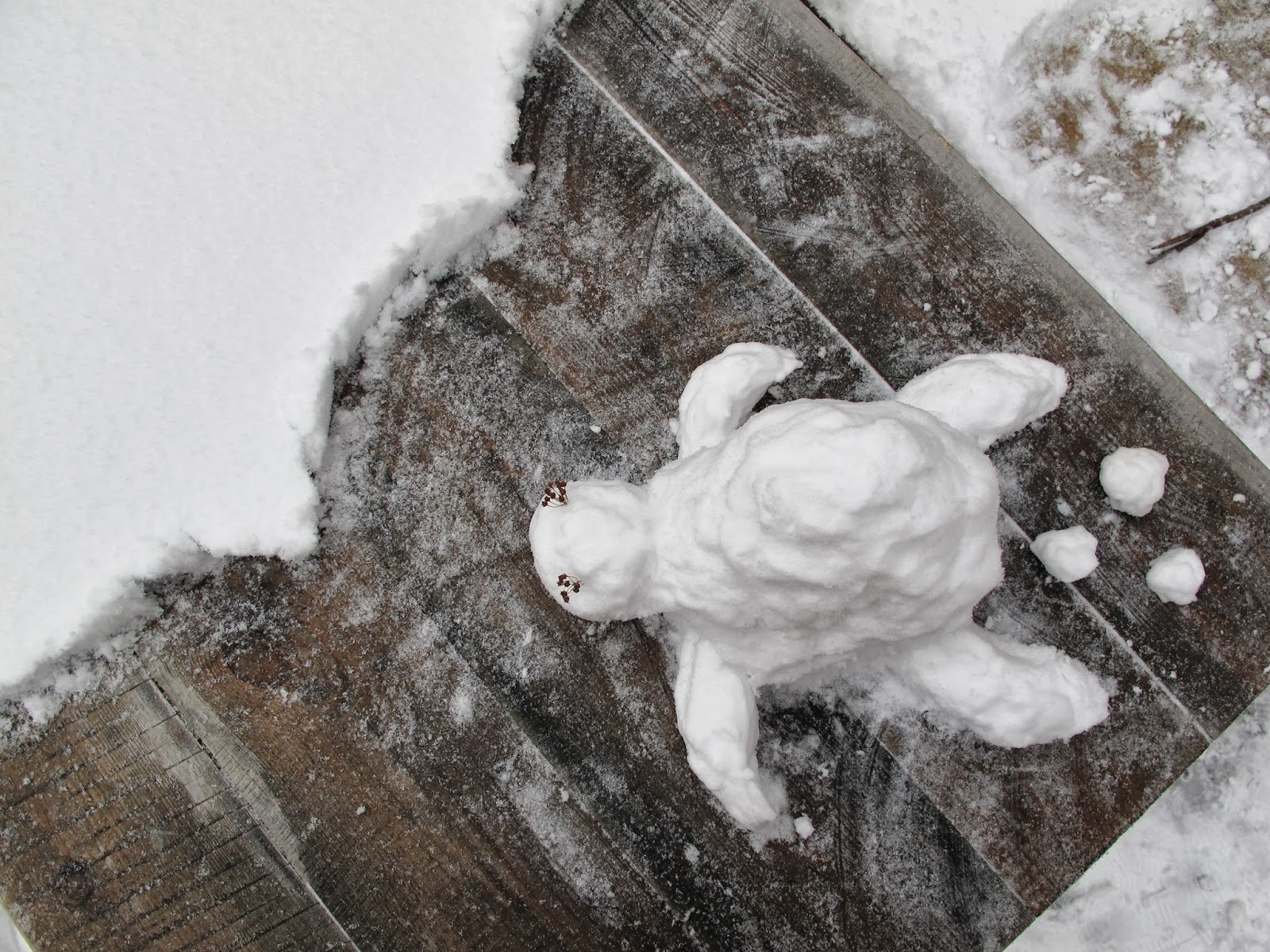 Happy Wanderers: Snow turtles at Lake Baikal