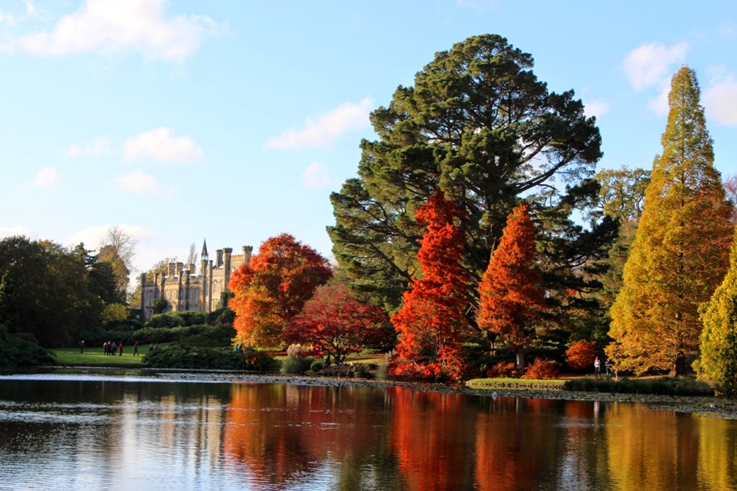 Sheffield Park and Garden - Elle Field