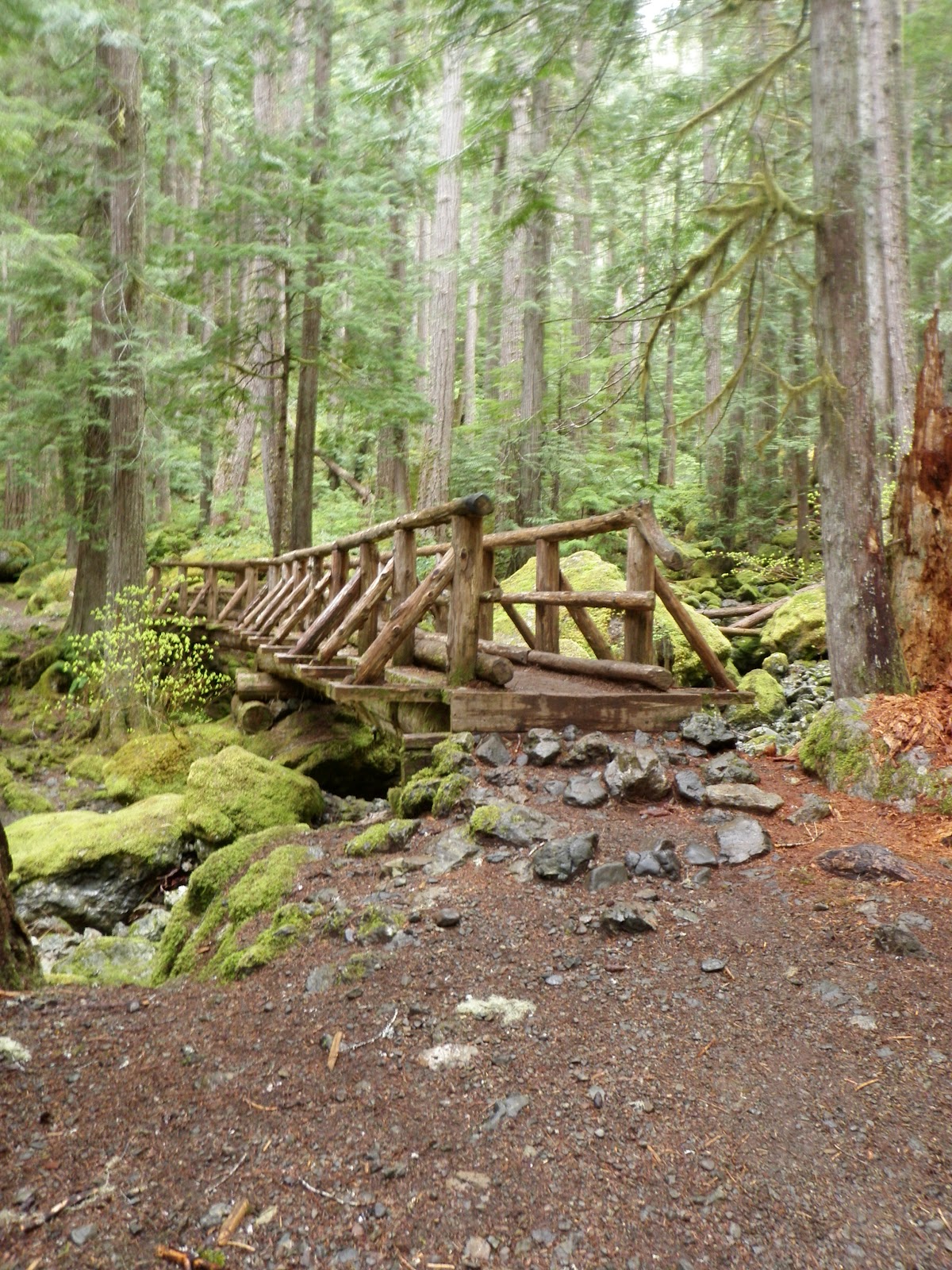 Two Young Soles: Lower Lena Lake