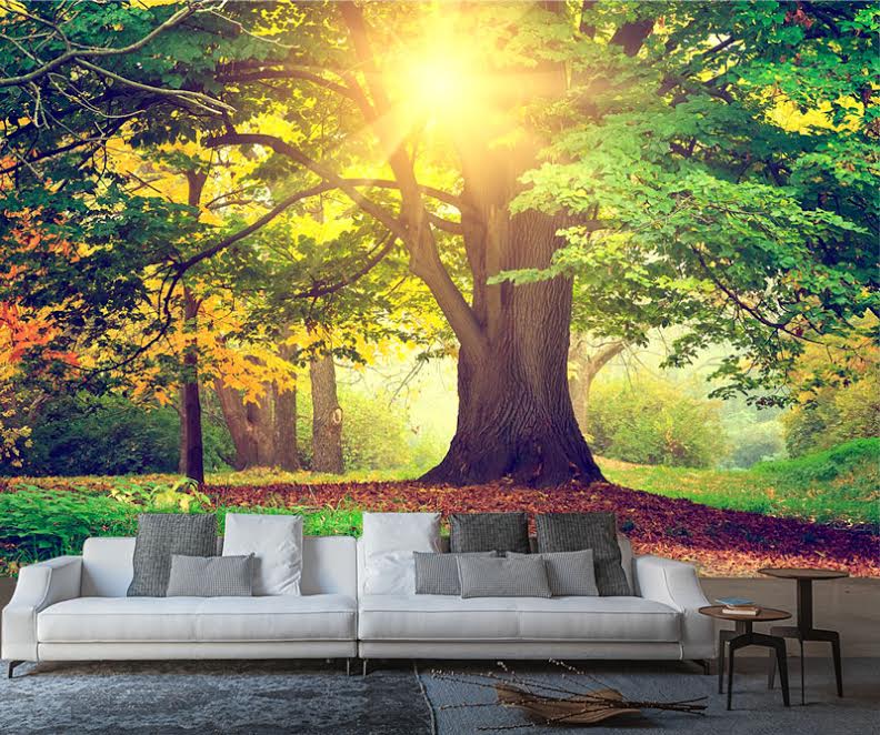 Bright Forest Sunlight Wall Mural