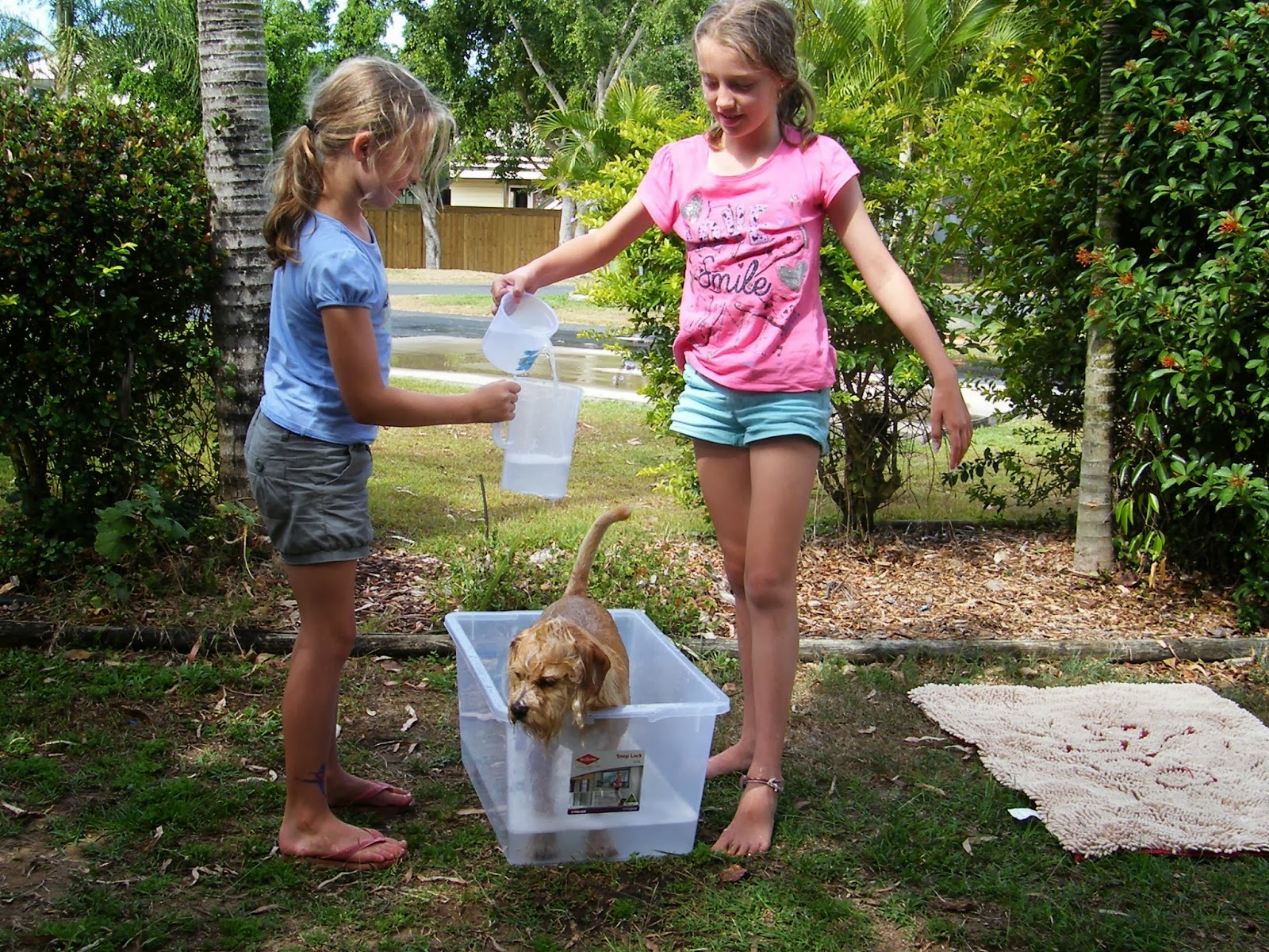 BJ and Noelle Travel Oz : Yeppoon - Glebe Weir (Taroom), QUEENSLAND