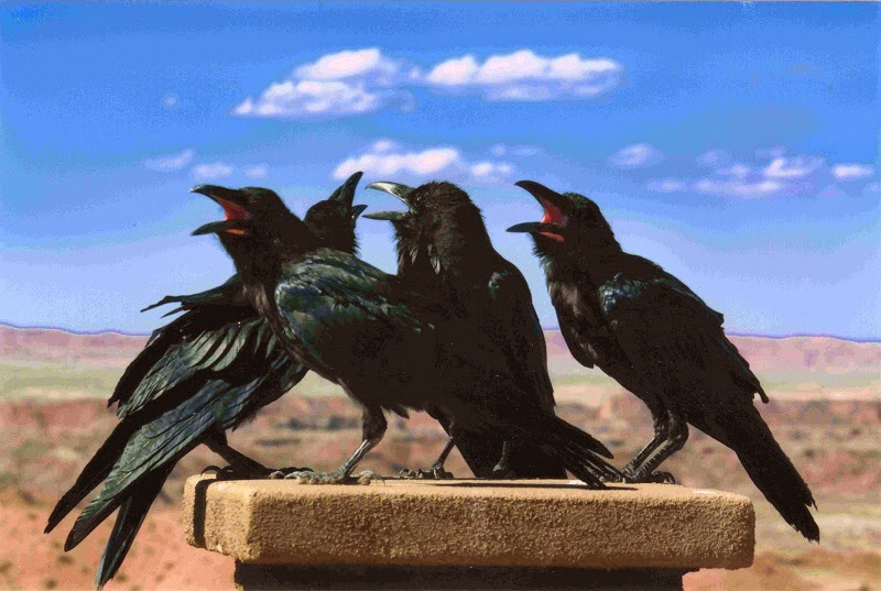 Crow: Day One: Join the Club