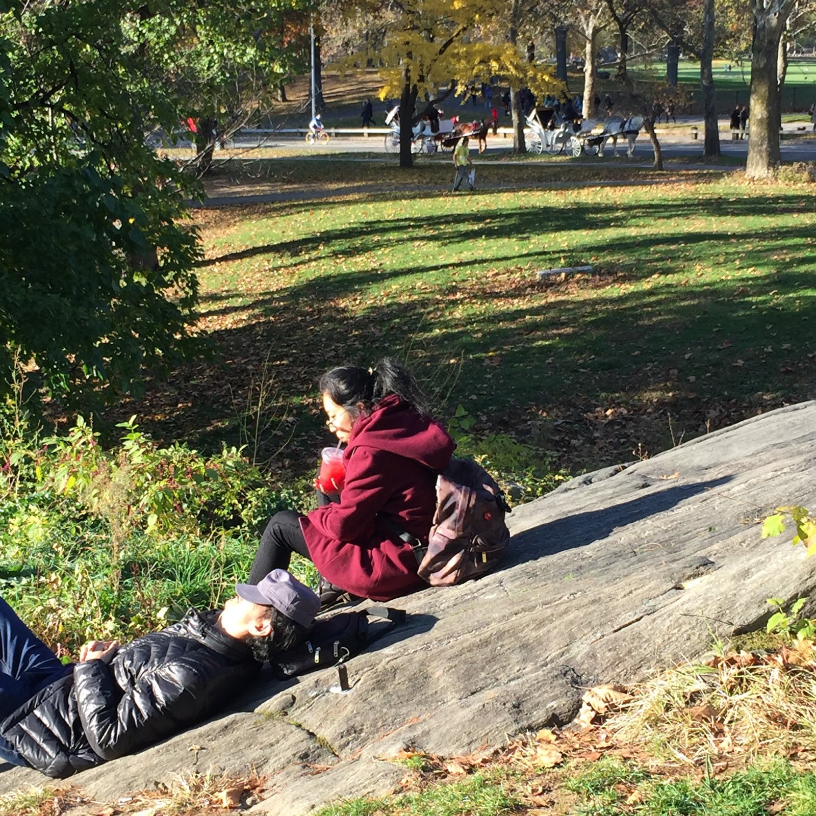 Sense & the City: SIGHT: Central Park's hidden bolt marking Manhattan's ...