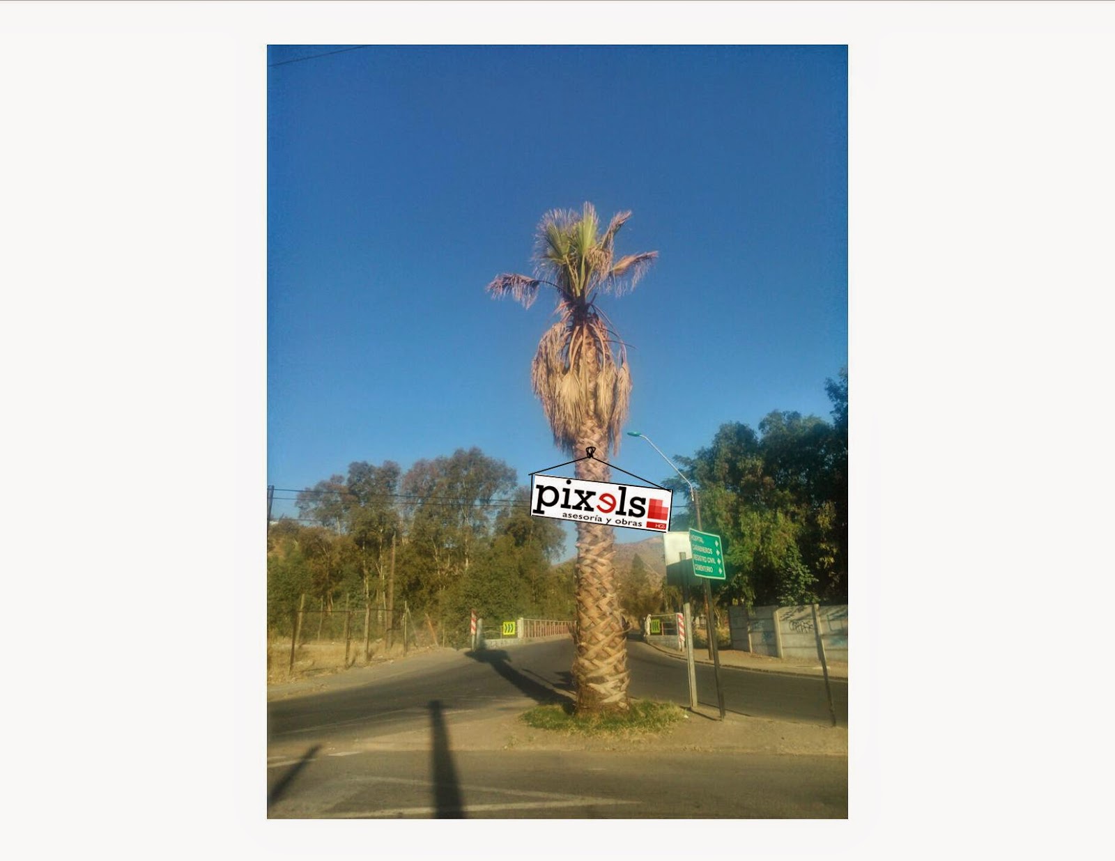 Til Til Siempre: 2015