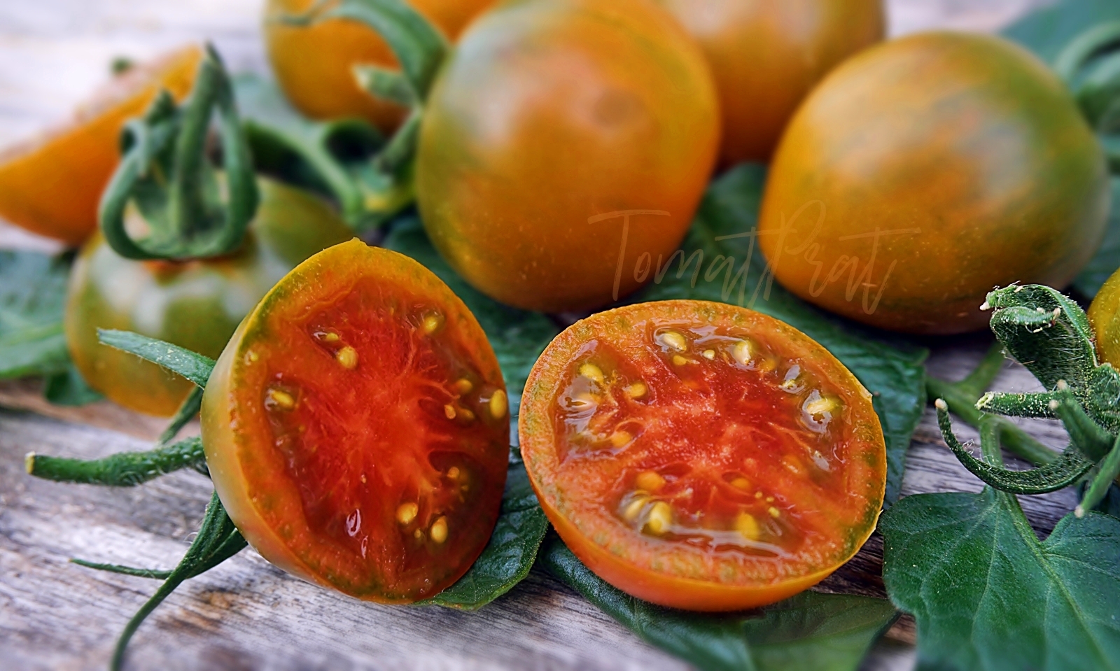 Helenes Tomater: K- 54-84 "Evil Olive"