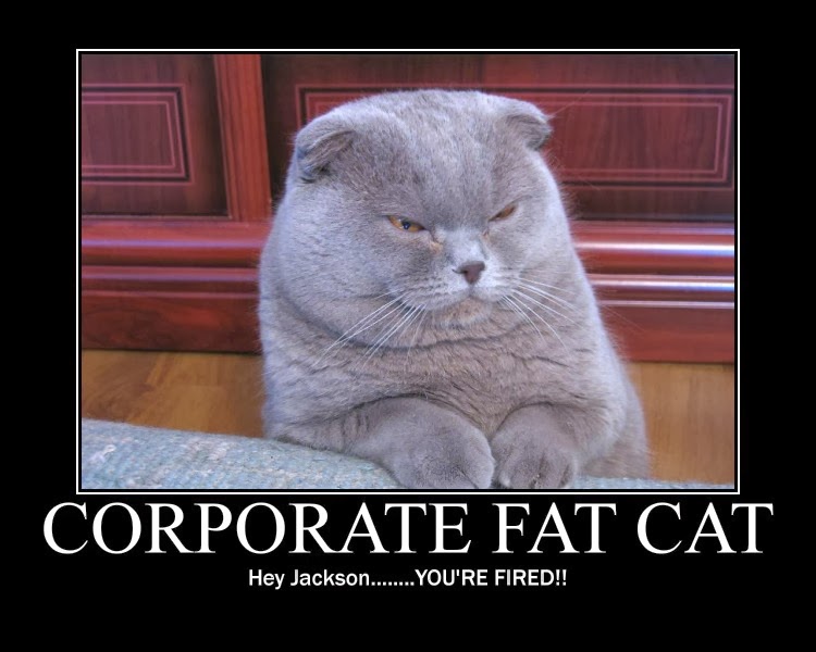 Most Famous Cats: Cute and Funny Cat Posters