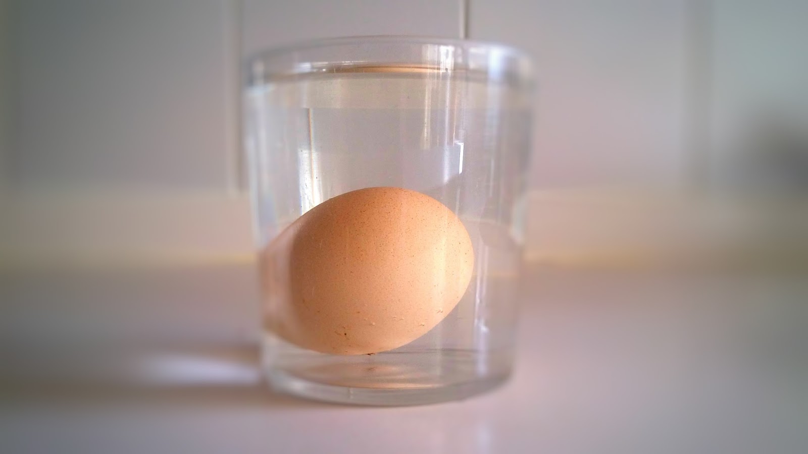 ¿Cómo puedo saber si son frescos mis huevos? | Medicusmeo