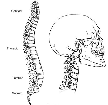 D e s i g n: 111 Joint Research Images