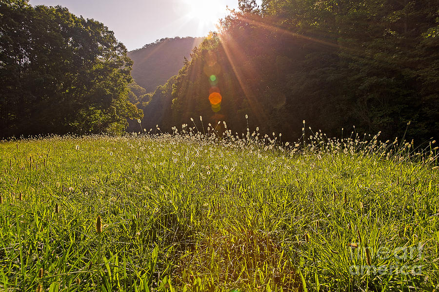 Karvakorvat ja kokki: Valokuvaus, osa 2 - asetusten säätö ja vinkkejä ...