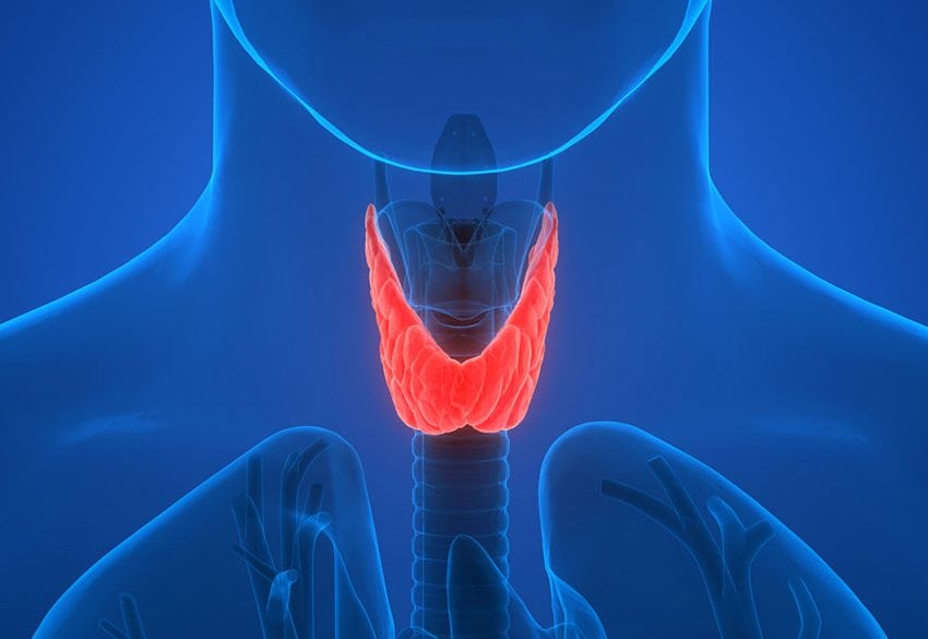 tiroidectomía : tiroidectomía