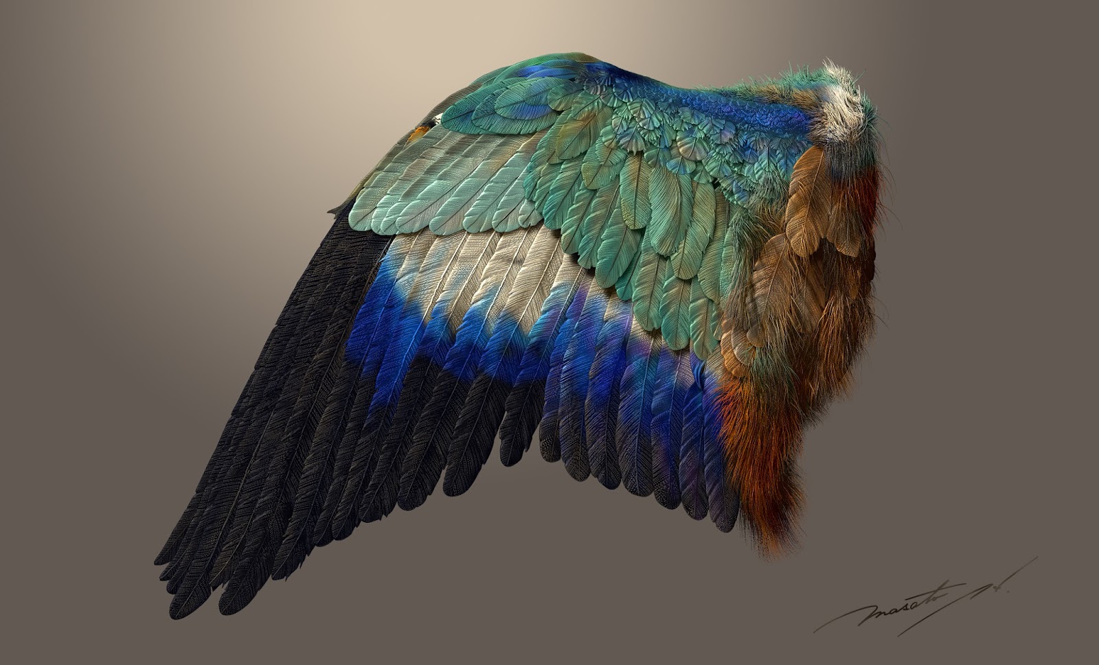 Marchan Blog: Albrecht Durer Wing of a blue_roller