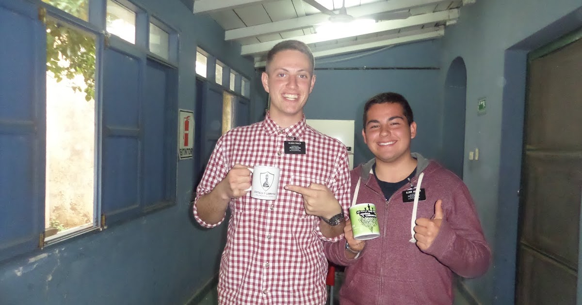 ELDER JONATHAN TRACY'S BOLIVIAN MISSION BLOG: WEEK 90: COW SKINS AND ...