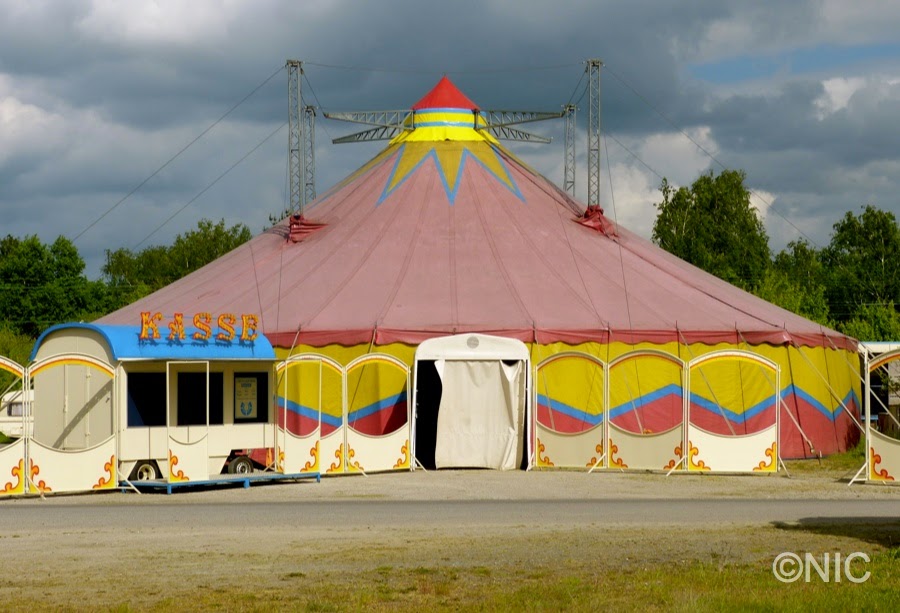 Norberts Internationale Circuswelt: Circus California gastiert in Sehnde