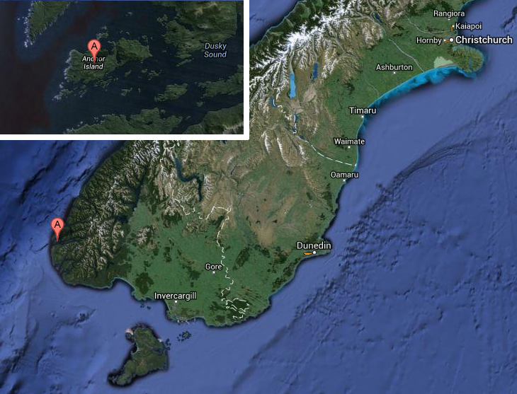 Aotearoa Landscapes: Anchor Island - Kakapo Recovery Programme