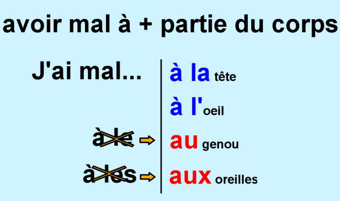 Zoom Français: Les parties du corps