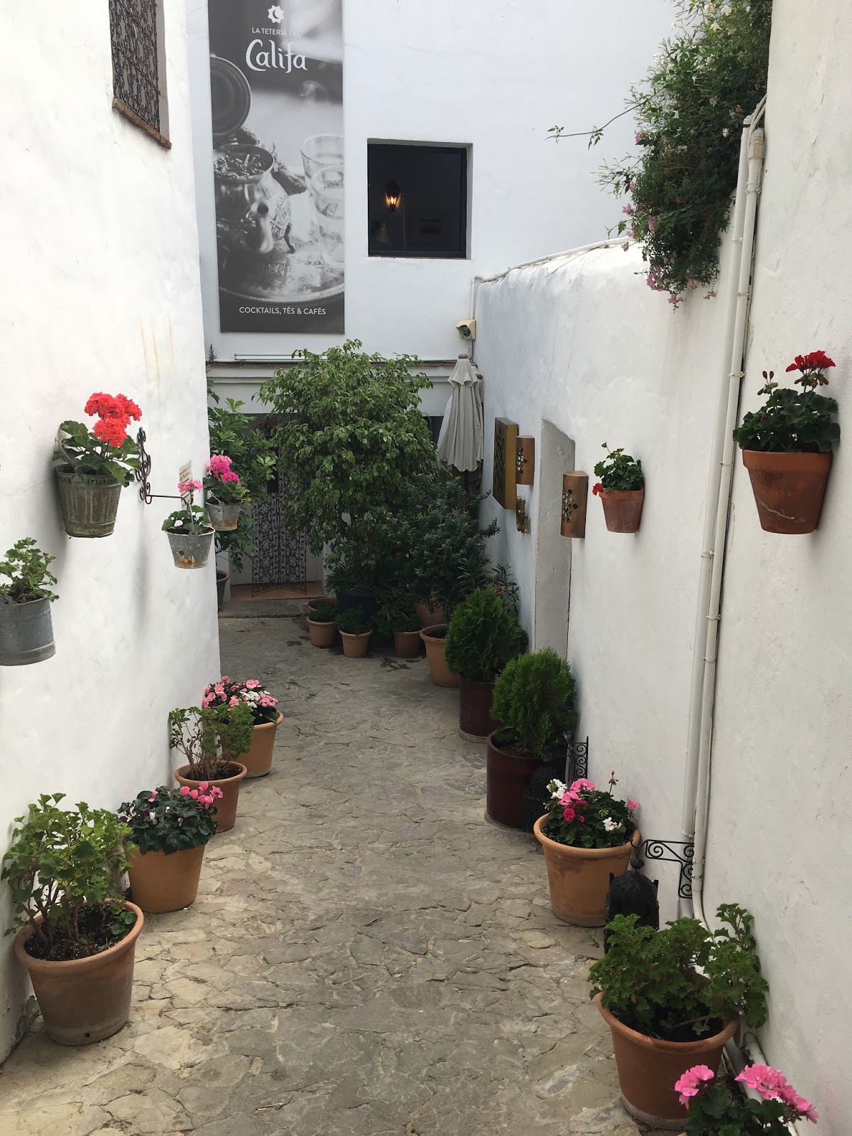 El Jardín Del Califa De Vejer De La Frontera (Cádiz)