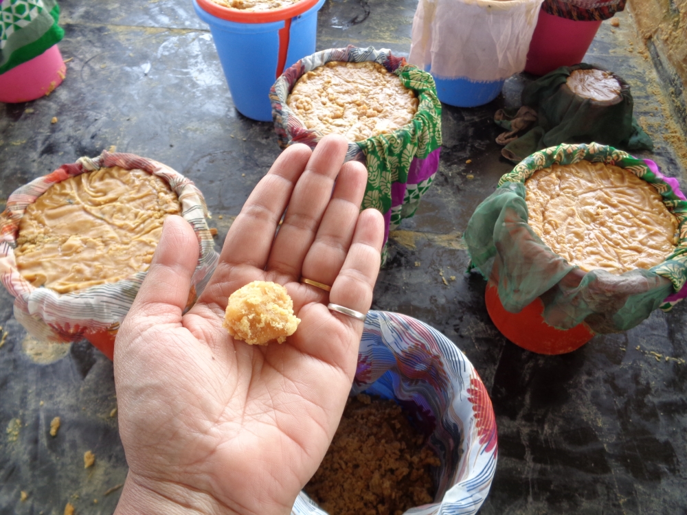 Riding a Rainbow: A Visit to a Jaggery Making Unit.