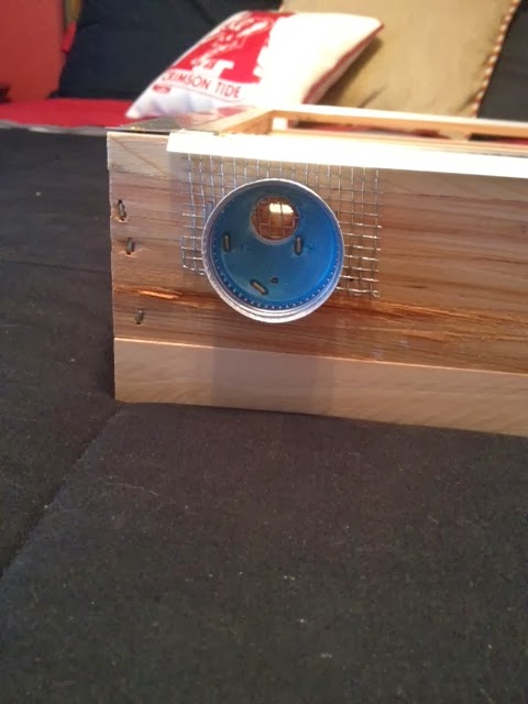 Beetle Baffle Latest News: More Shows and a New Trap Idea