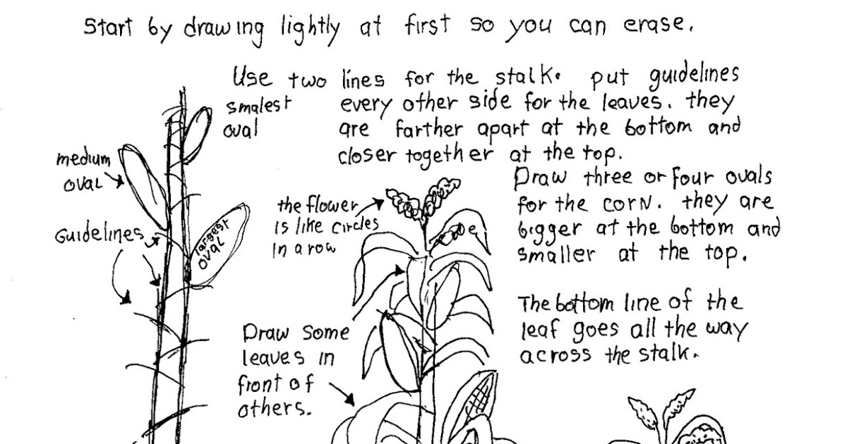 How to Draw Worksheets for The Young Artist: Free printable How To Draw ...