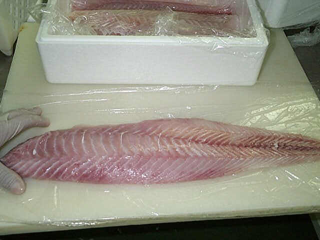 Senegal Seafoods , Fish Products: Fillet Rockling Fish -Mostelle Exporter
