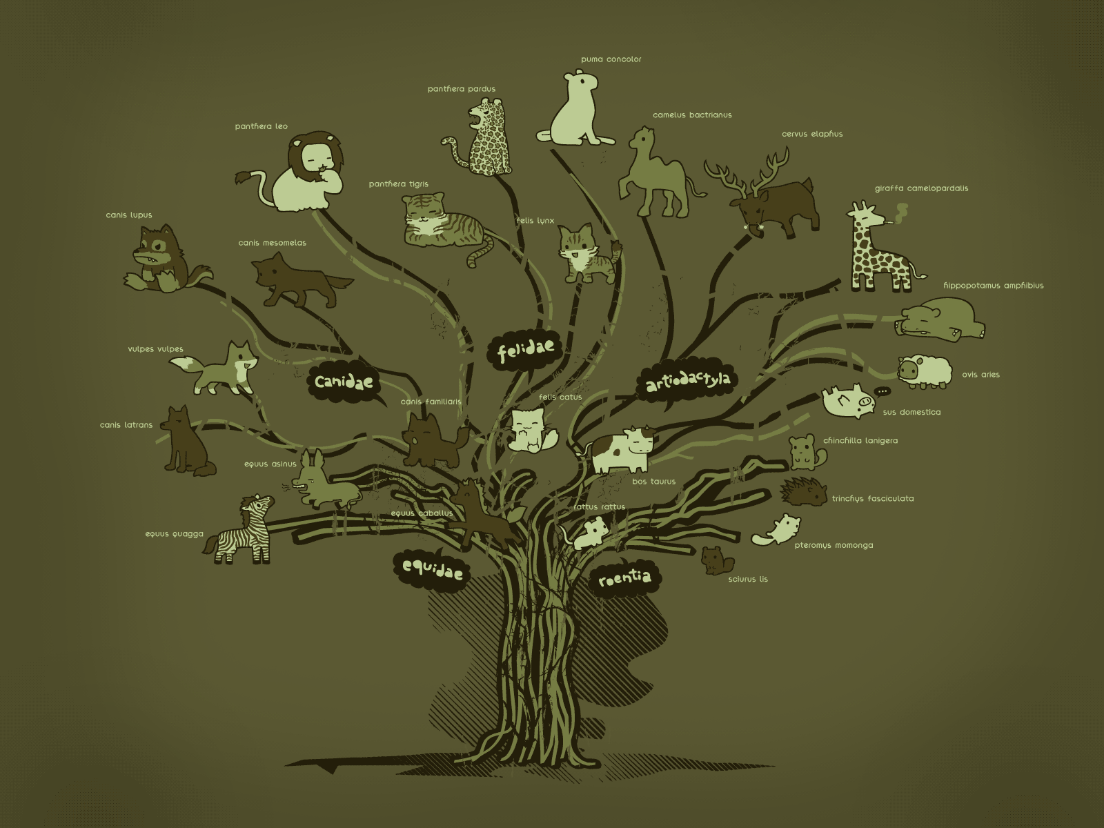 Rodrigo: Filogenética.