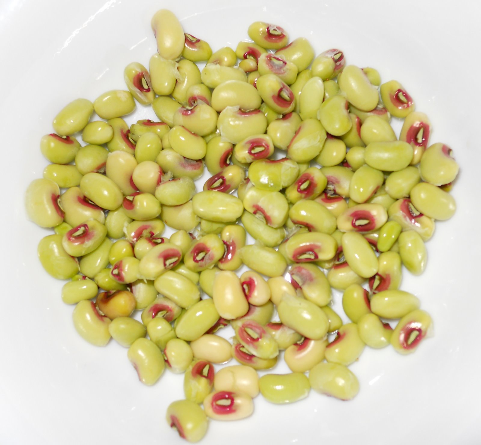 Georgia Home Garden: Purple Hull Pea Harvest