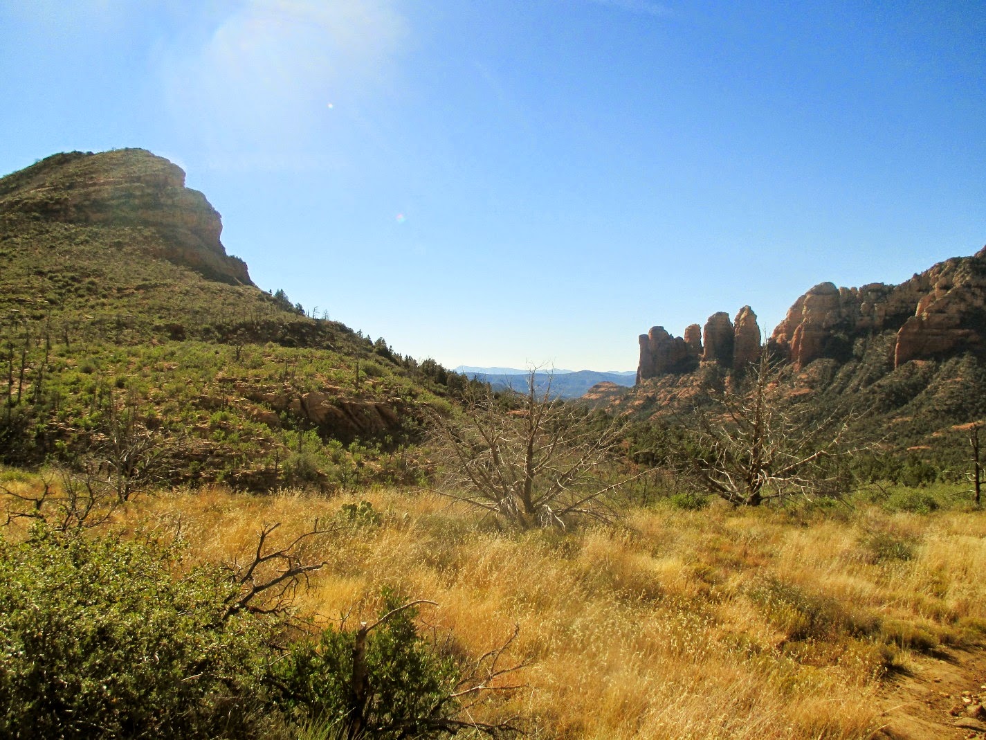 What's Up with Ellis: Cibola-Brins Mesa-Soldier Pass Loop