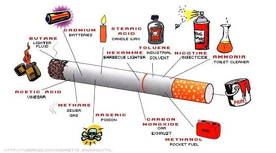 Our Magazine: The tobacco