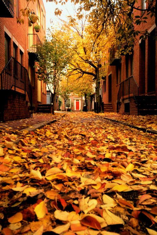 Doar Online: Toamna, toamna, esti o doamna