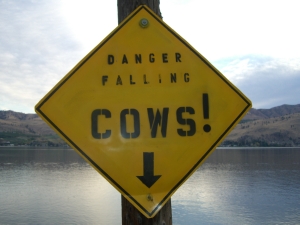 Suburban Cowgirls: January 2012