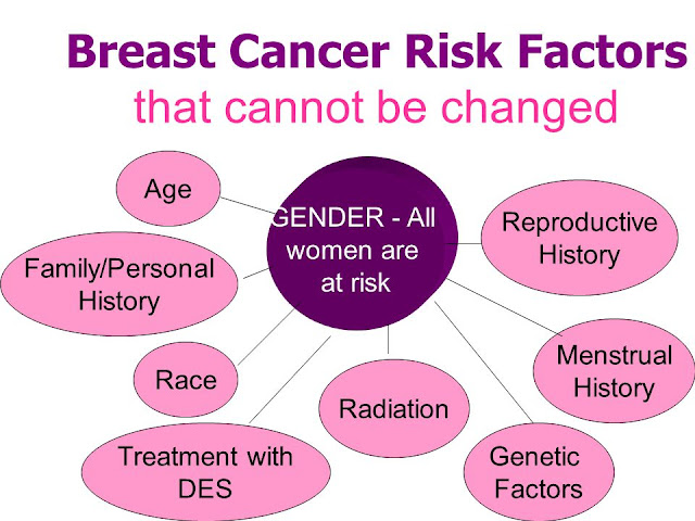 Breast Cancer Symptoms Review: Risk Factors for Breast Cancer