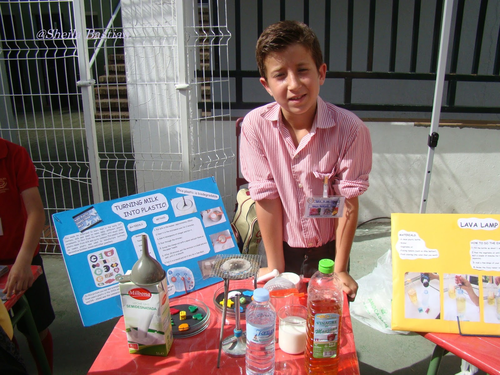 Science Magazine: SCIENCE FAIR PROJECT - TURNING MILK INTO PLASTIC! By ...