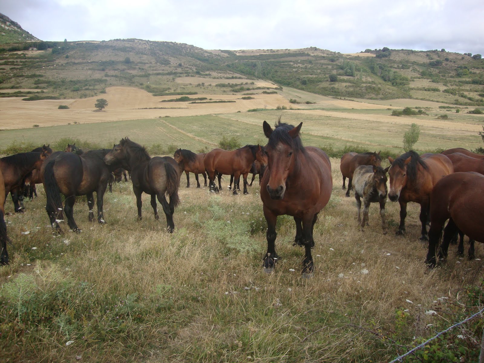 Agenda cultural Tierra Estella;haz una escapada a Casas rurales en ...