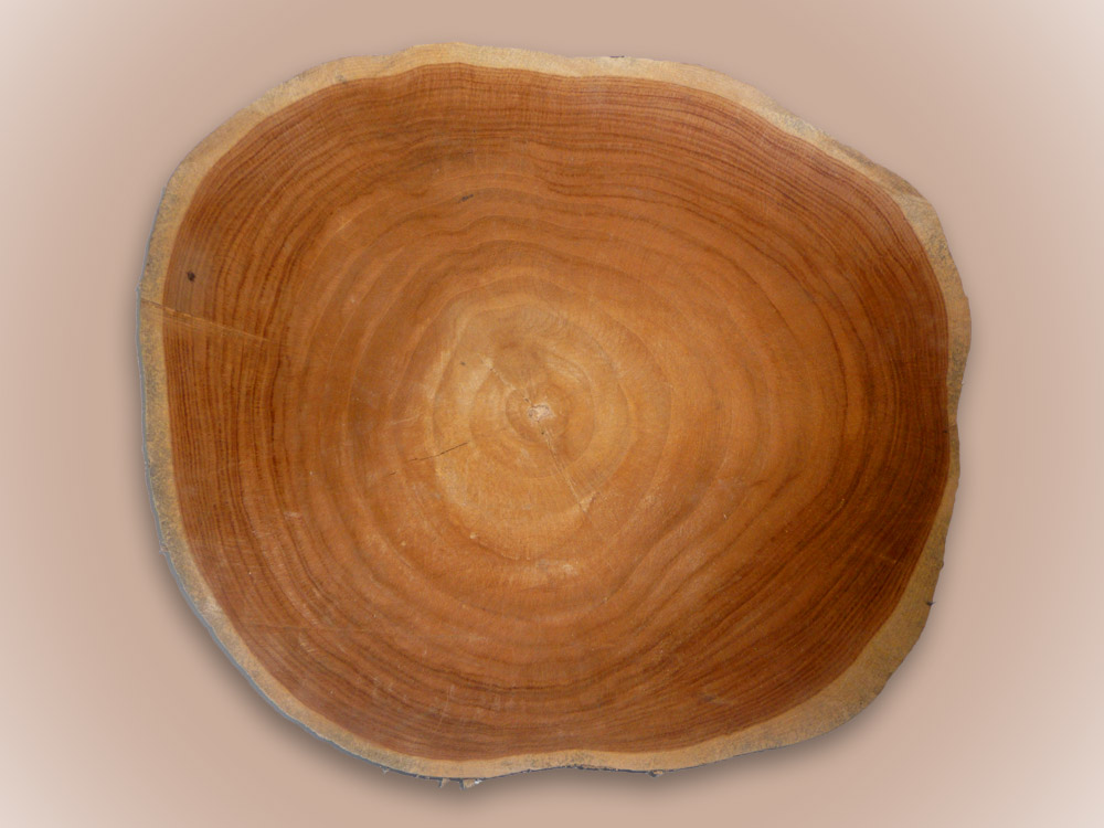 PROYECTOS DE TECNOLOGÍA: Madera de teca: Características y usos