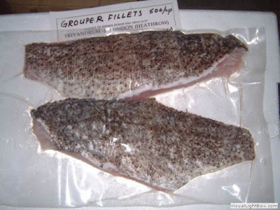 Frozen Grouper Fillets Suppliers - Frozen Grouper Supplier, Grouper ...