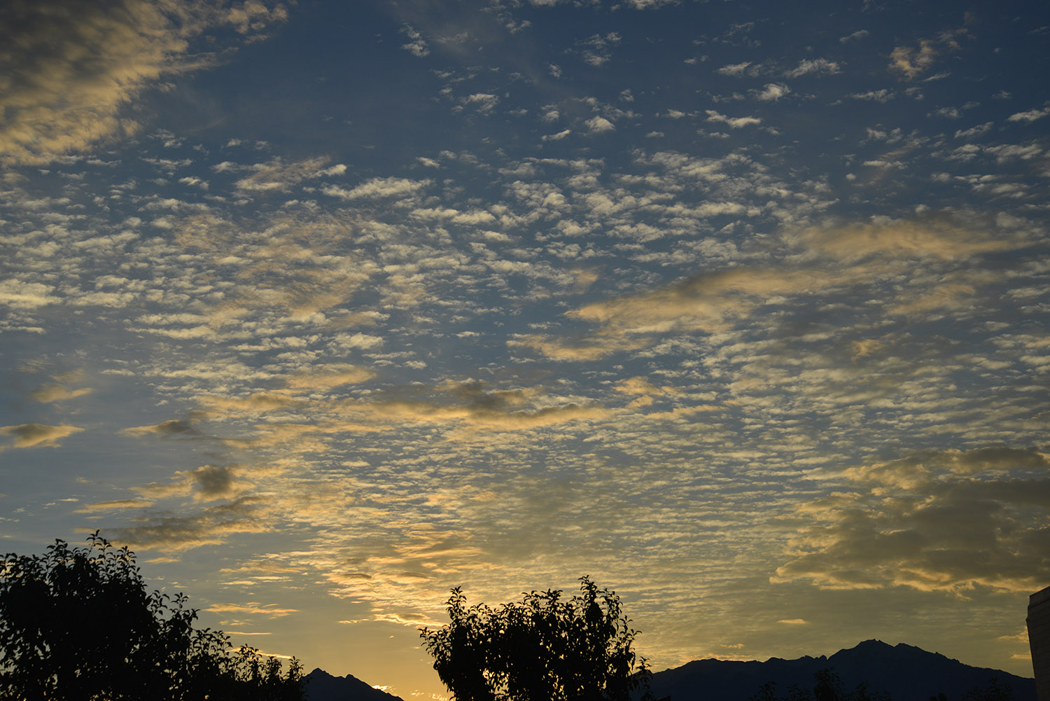 August Skies - light-in-leaves