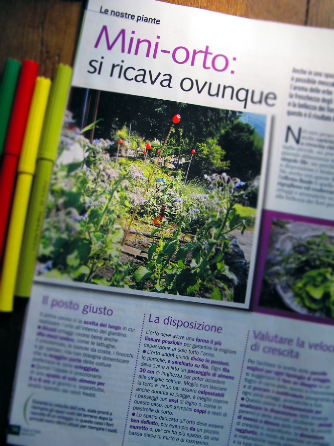 Mini-orto _Casa in fiore agosto 2012 | BLOSSOM ZINE BLOG