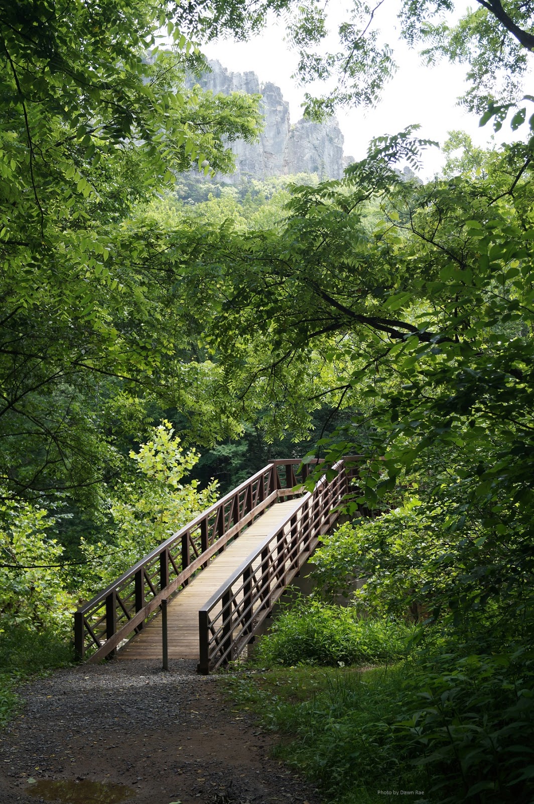 Treasures, Travel, and Tales: Travel: My Seneca Rocks Hike in Photos