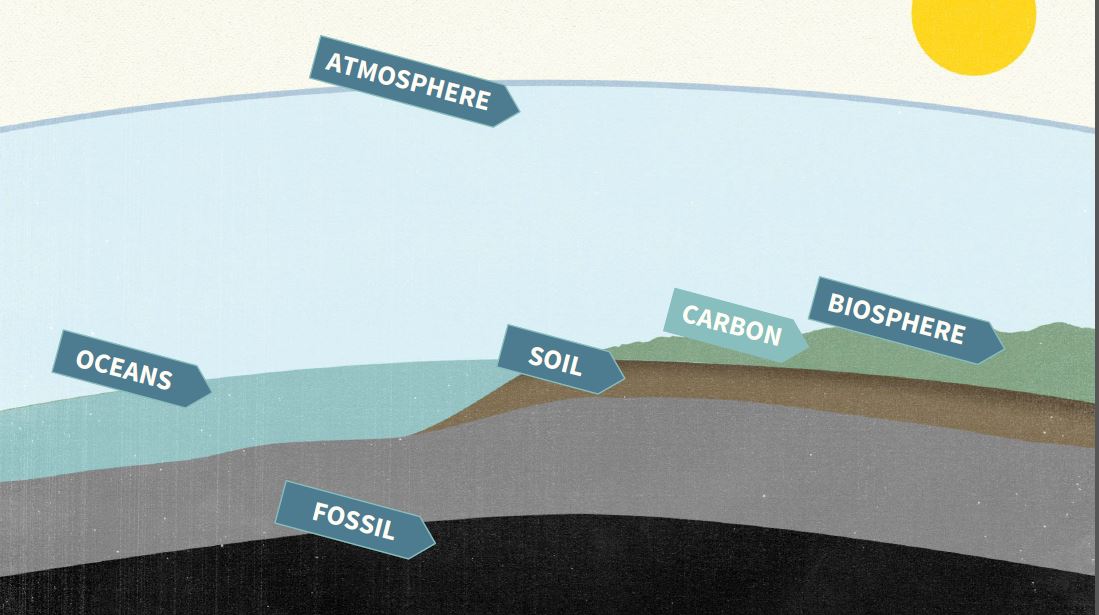 Regeneration in ACTION: Carbon Crisis: simply a matter of balance