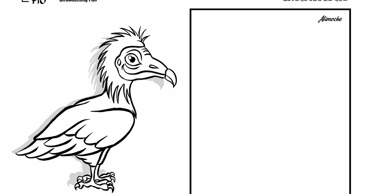 ELPENEQUE CARICATURAS: FICHAS DE AVES PARA DIBUJAR Y COLOREAR EN FIO
