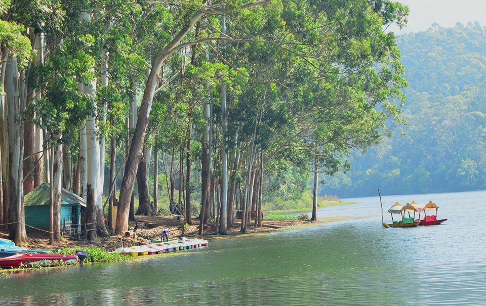 vattavada farm is in idukki ~ ml koottuz