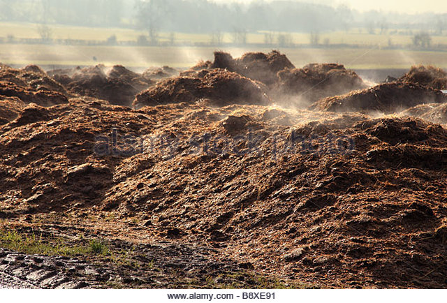 Craig Louis Stehr Reports: 2017