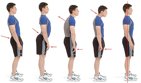 BERBAGI INFO DENGAN CINTA: POSTUR TUBUH